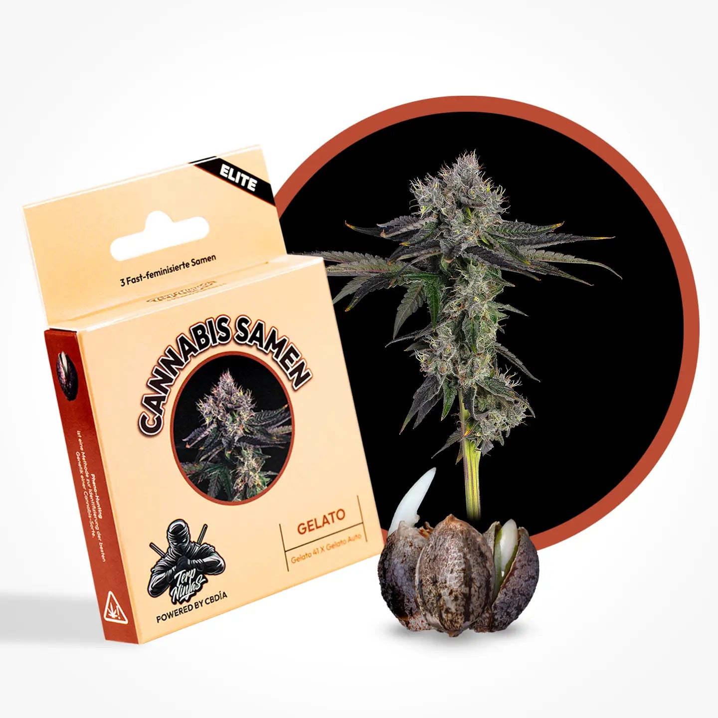 Gelato THC-Seeds Fast » Jetzt diskret online bestellen